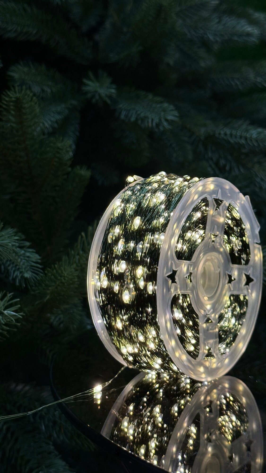 Новогодняя гирлянда светодиодная Роса, 2000 LED, тёплый белый, зеленый провод, катушка, 200 м, с пультом