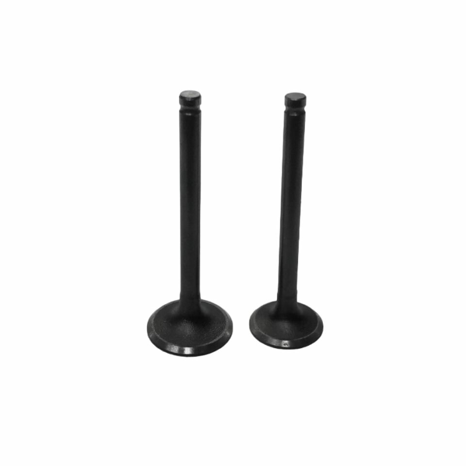 Клапаны мопеда Delta Zodiak 70-110см3 d23 / 19,9