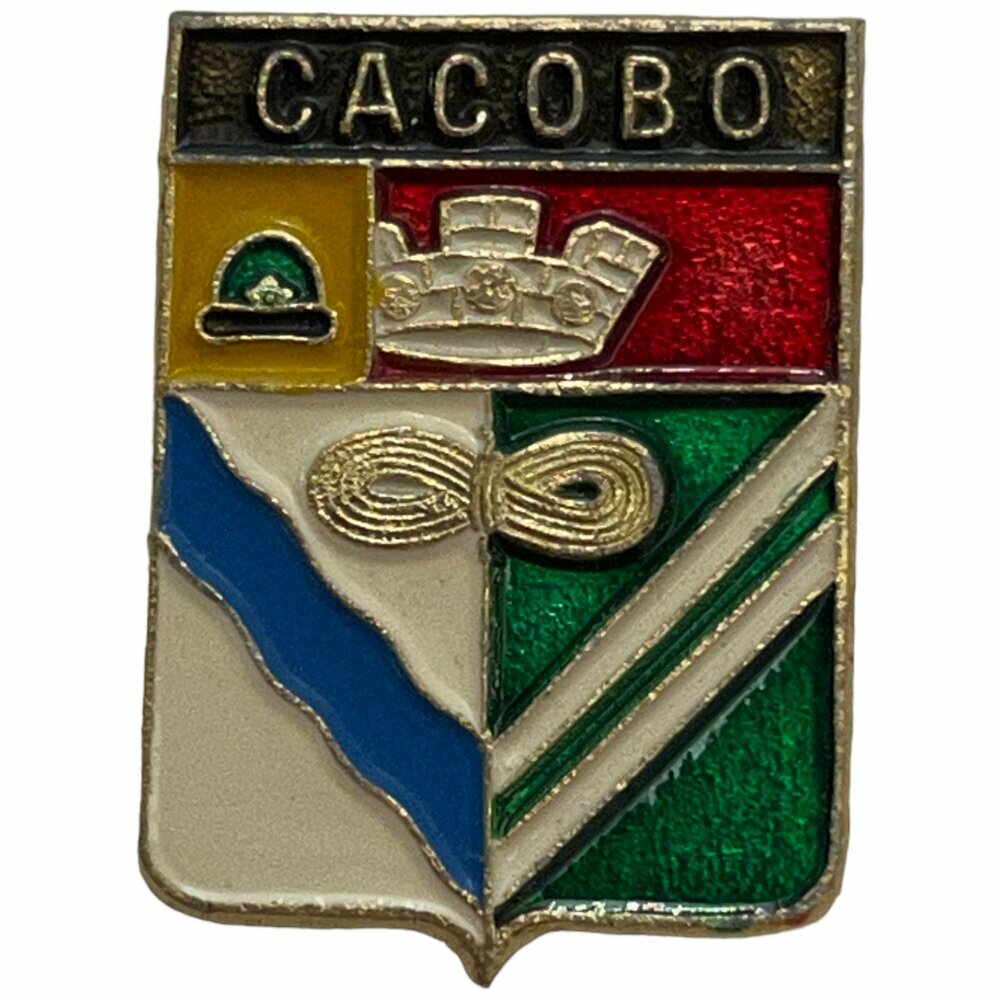 Знак "Сасово. Гербы Рязанской области" Россия 1991-2000 гг. (Родник)