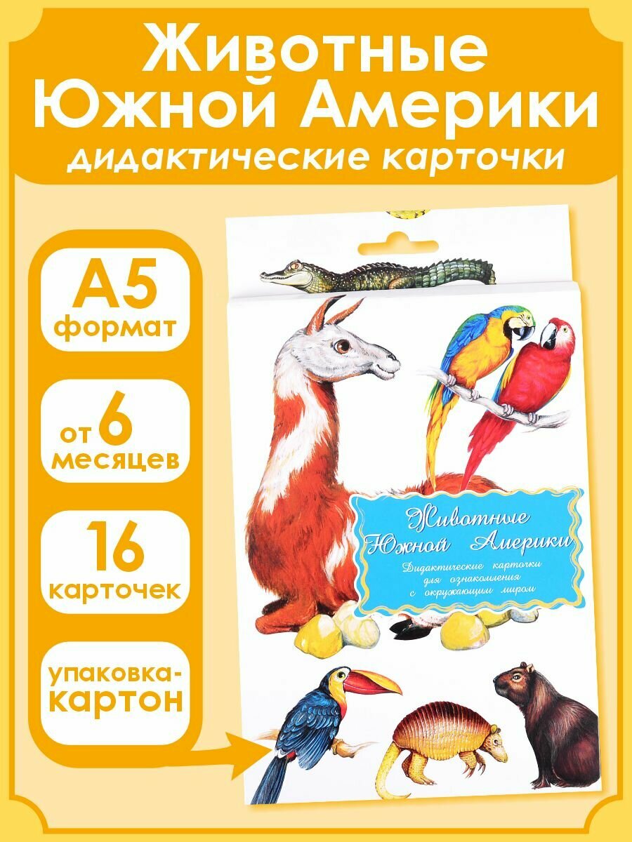 Дидактические карточки Маленький гений Животные Южной Америки
