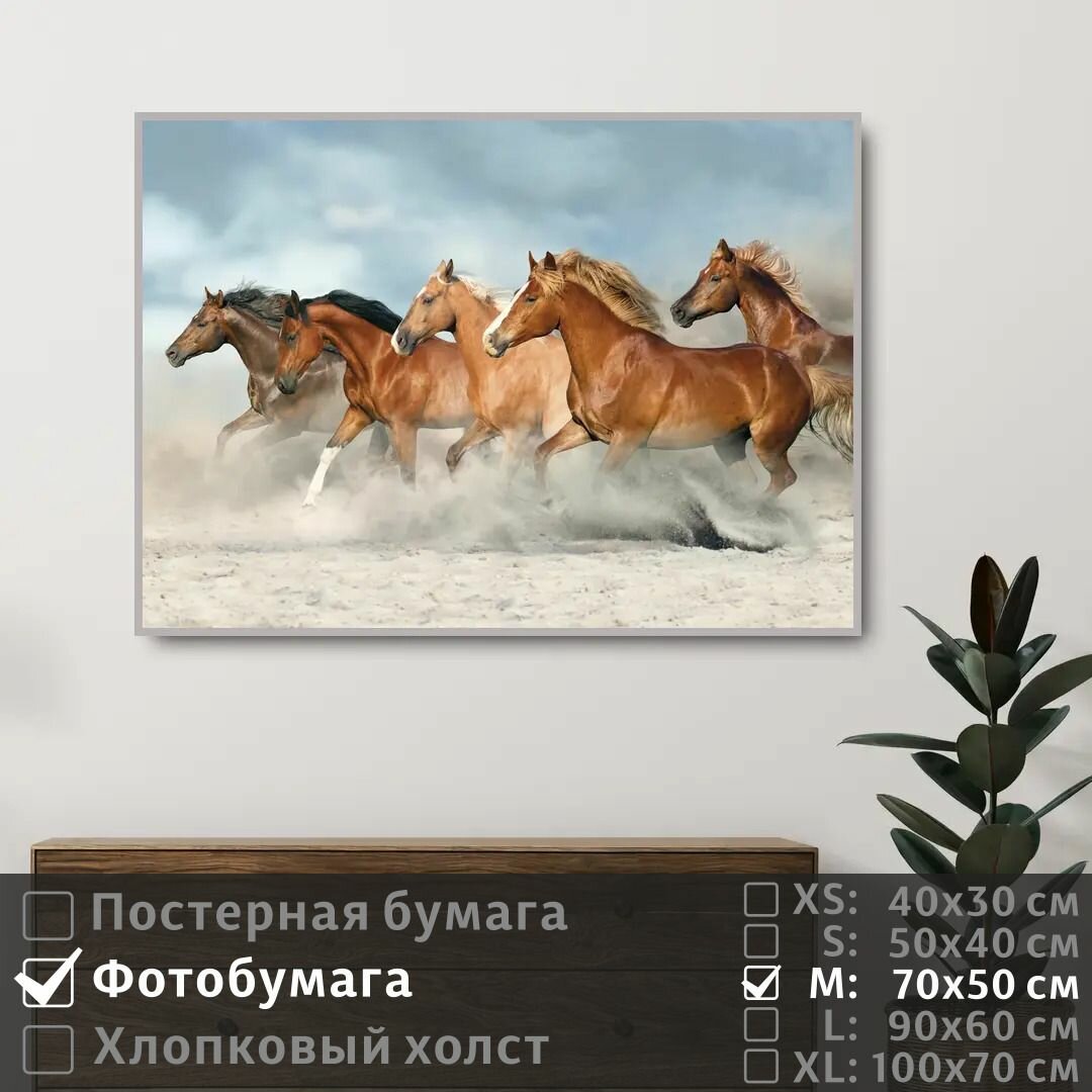 Постер на фотобумаге Лошади Скачут По Песку 70х50 см ПолиЦентр