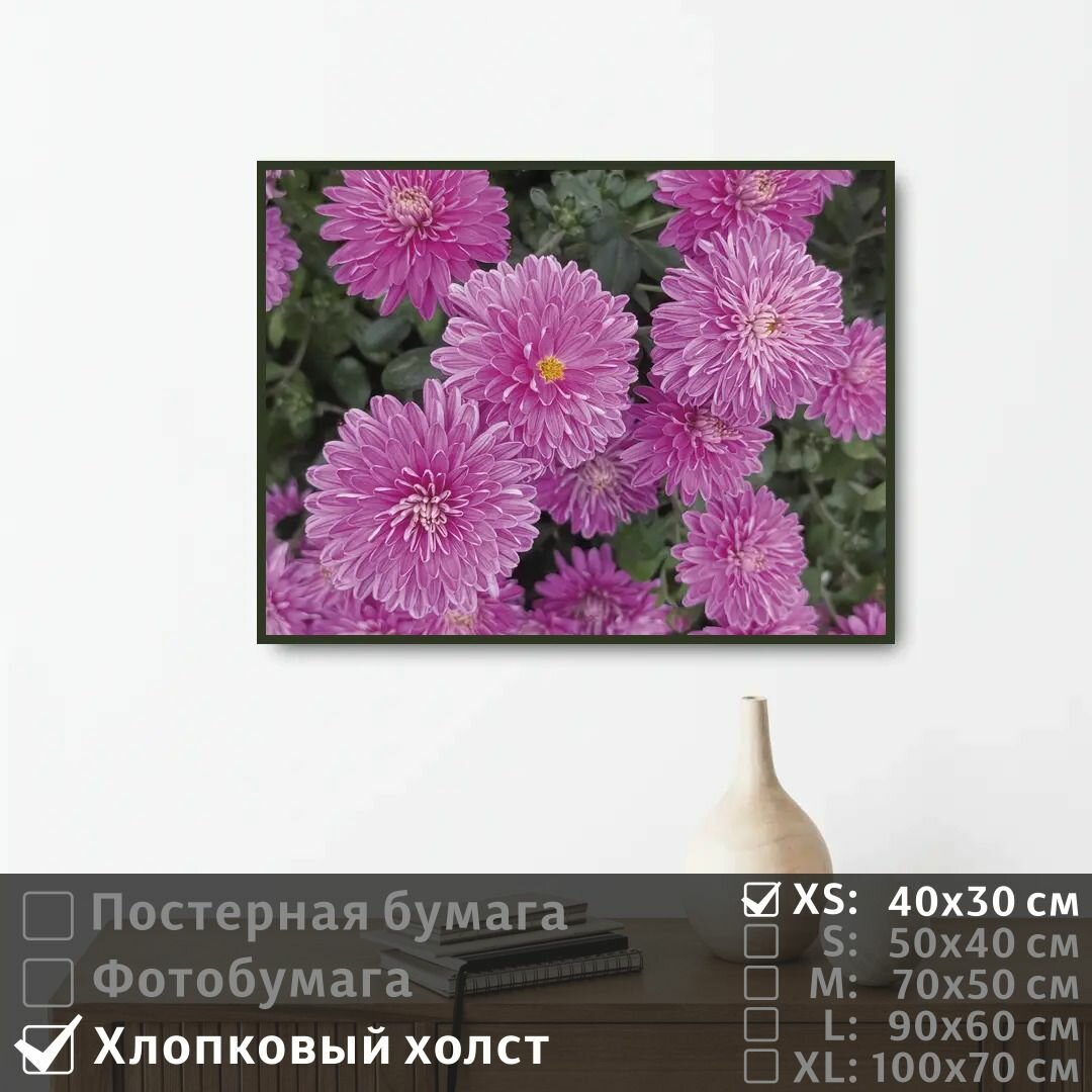 Постер на холсте Нежные Хризантемы 40х30 см ПолиЦентр