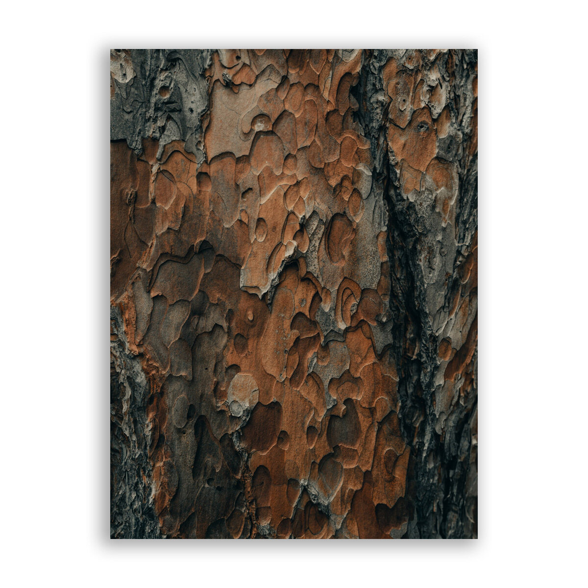 Постер, плакат на бумаге / Древесина / Размер 30 x 40 см