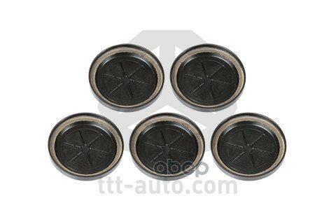 РМК суппорта (заглушки d 42 mm (ком-кт 5 шт.)) KNORR (SN6/7 SK7) TTT-auto арт. 17141