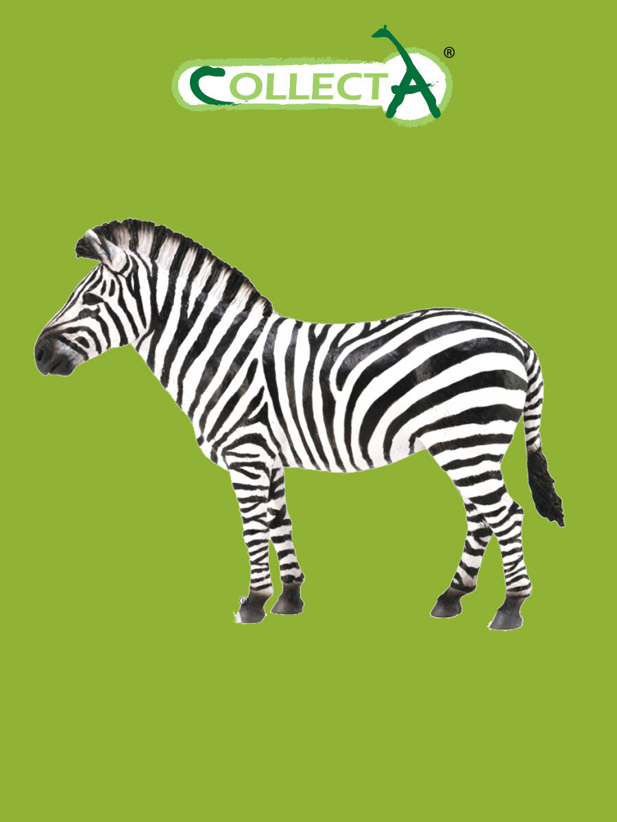 Фигурка животного Collecta "Зебра обыкновенная" высота 9 см, 88830b