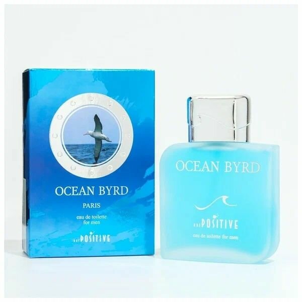 Туалетная вода Art Positive "Ocean Byrd", мужская, древесный фужерный аромат, 100мл