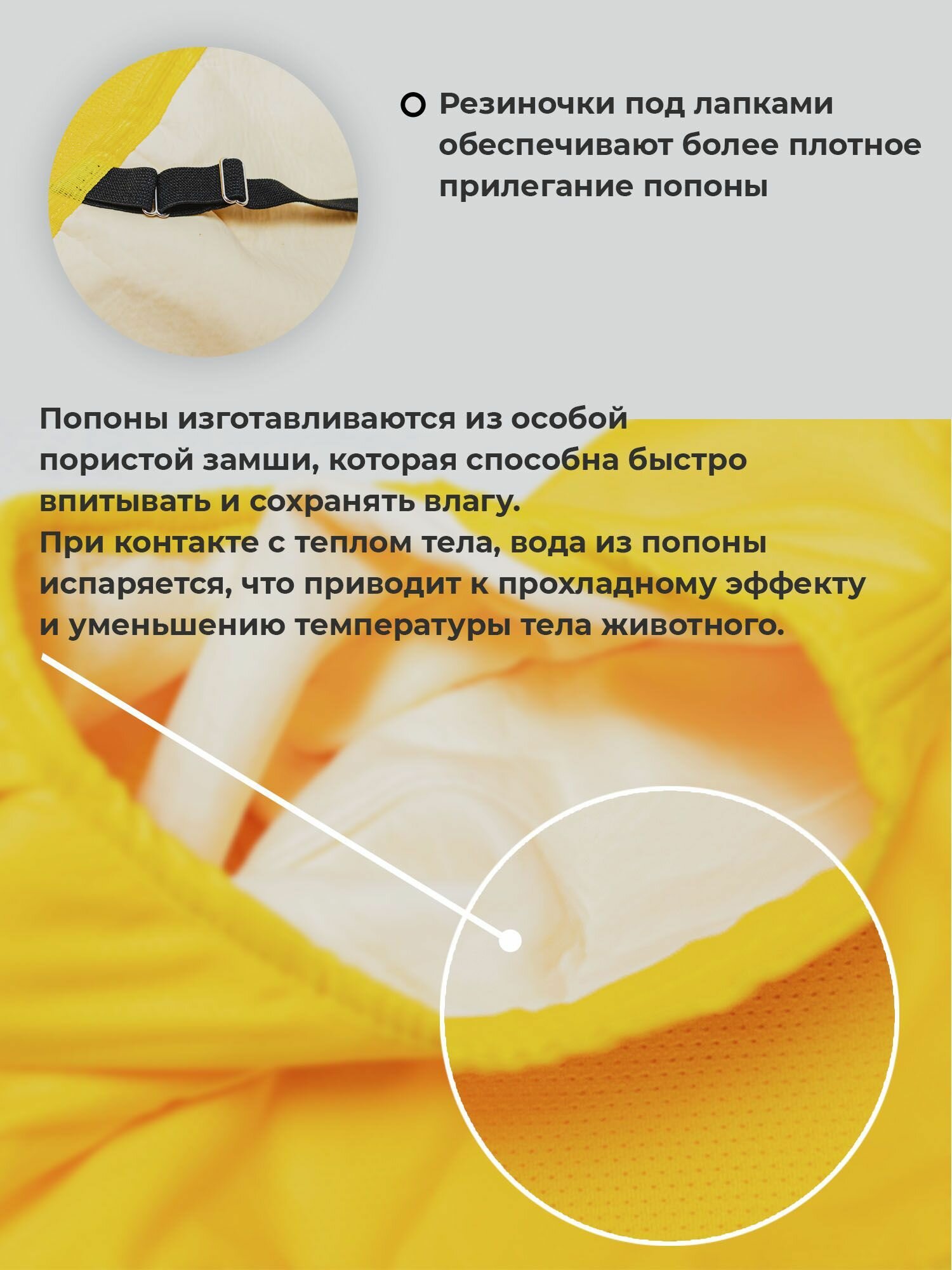 Одежда для животных — фото 1