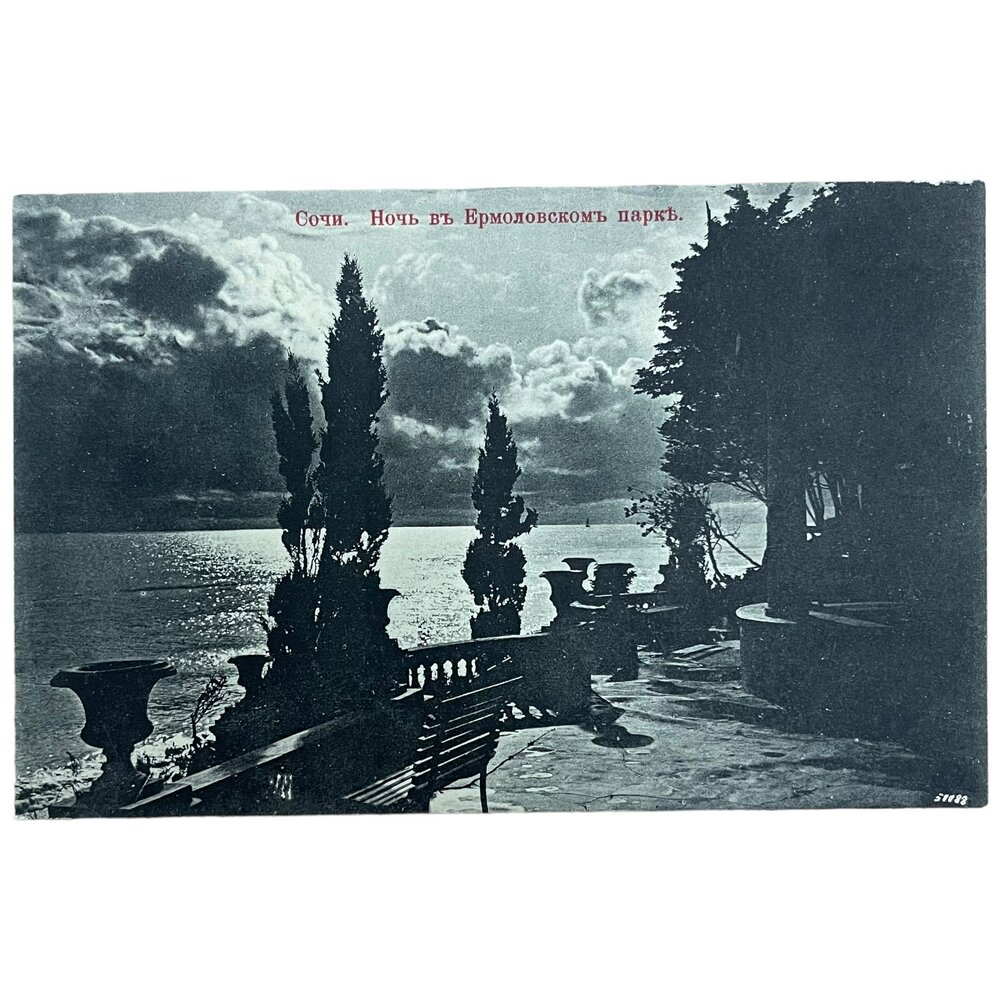 Почтовая открытка "Сочи. Ночь в Ермоловском парке" 1900-1917 гг. Российская Империя (Лот № 2)