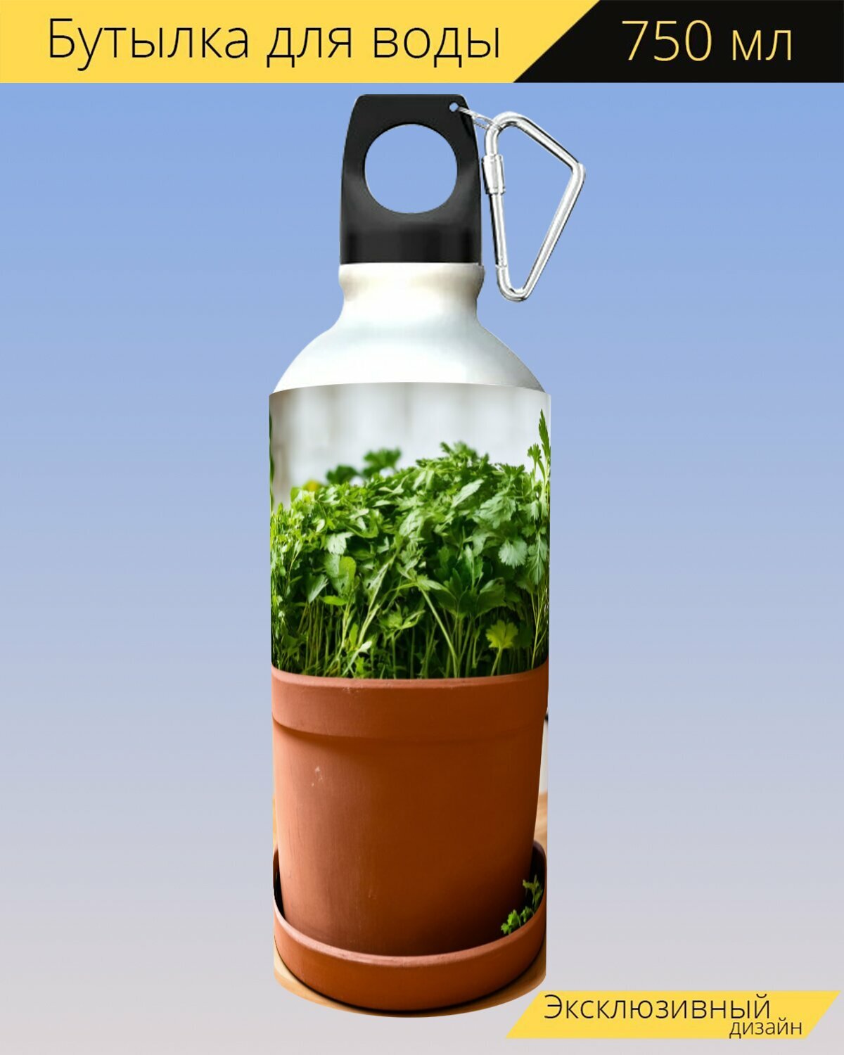 Бутылка фляга для воды "Коричневый глиняный горшок с ароматными травами, стоящий на кухонном столе" 750 мл. с карабином и принтом