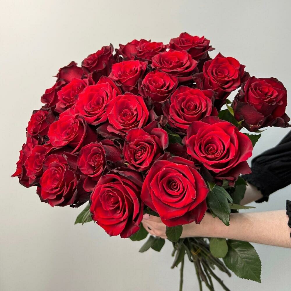 Букет из бордовых роз 35 шт. сорт "Эксплорер"