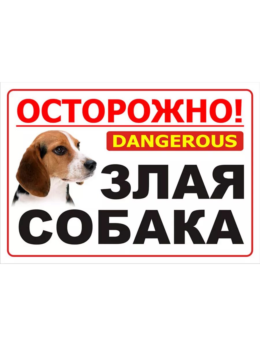 Табличка "Злая собака" 30х21см на пластике ПВХ