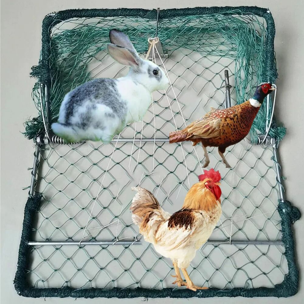 1 штука, Домашняя ловушка для птиц инструменты для кемпинга охотничьей клетки голубей, фазанов уток других птиц