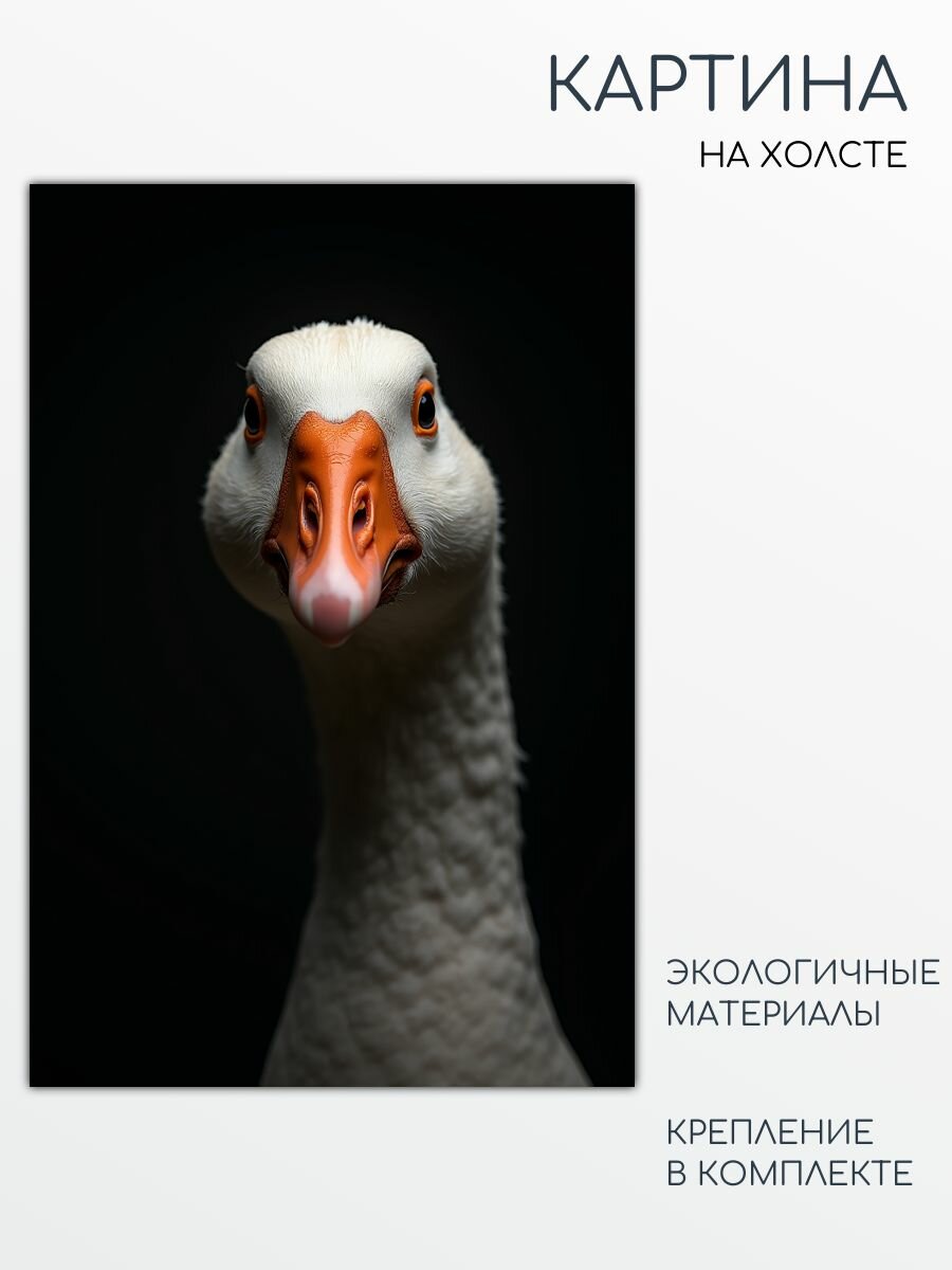 Картина на холсте "Милый гусь" 40x60 см