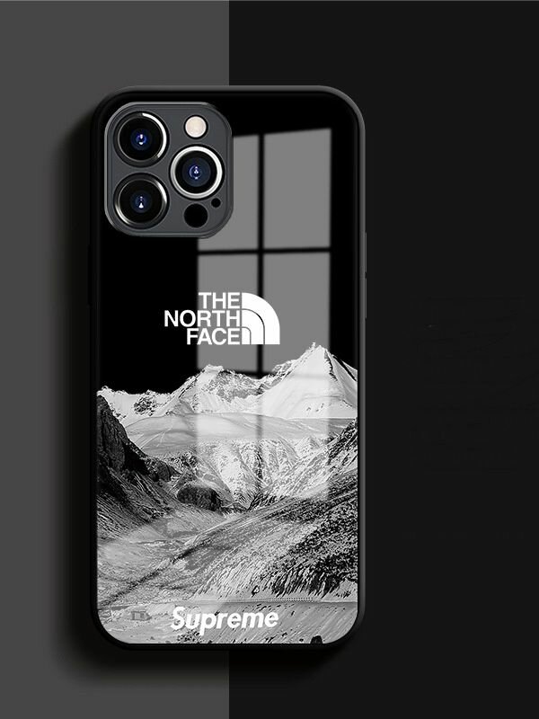 Чехол на iPhone 16 Pro Айфон, Apple The North Face
