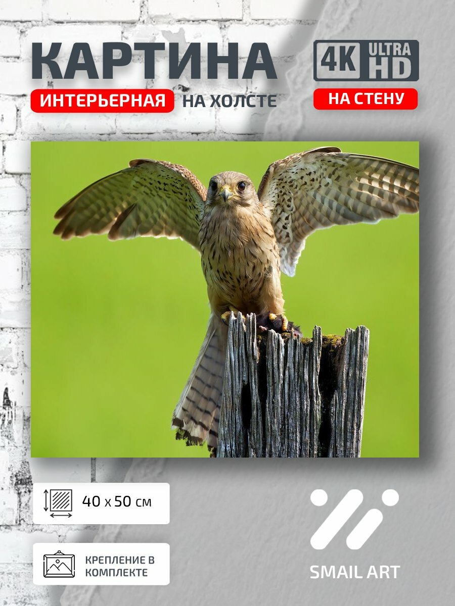 Картина на холсте интерьерная 40 на 50 на стену Крыльями Animal для детской animal style