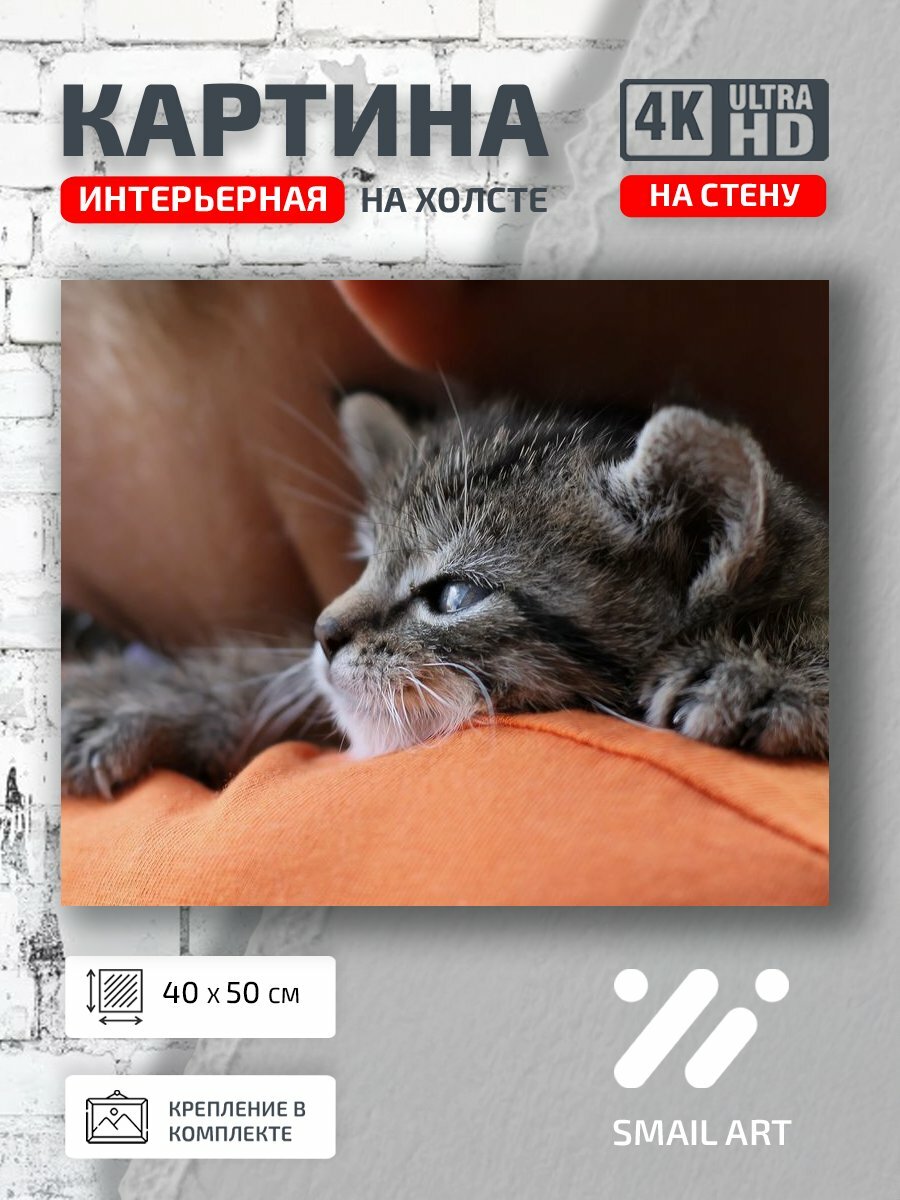 Картина на холсте интерьерная 40 на 50 на стену Плече Animal для спальни animal style декор