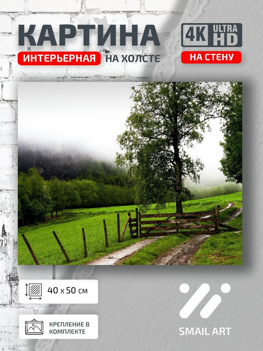 Картина на холсте интерьерная 40 на 50 на стену Степь-дорожка Landscape для офиса пейзаж