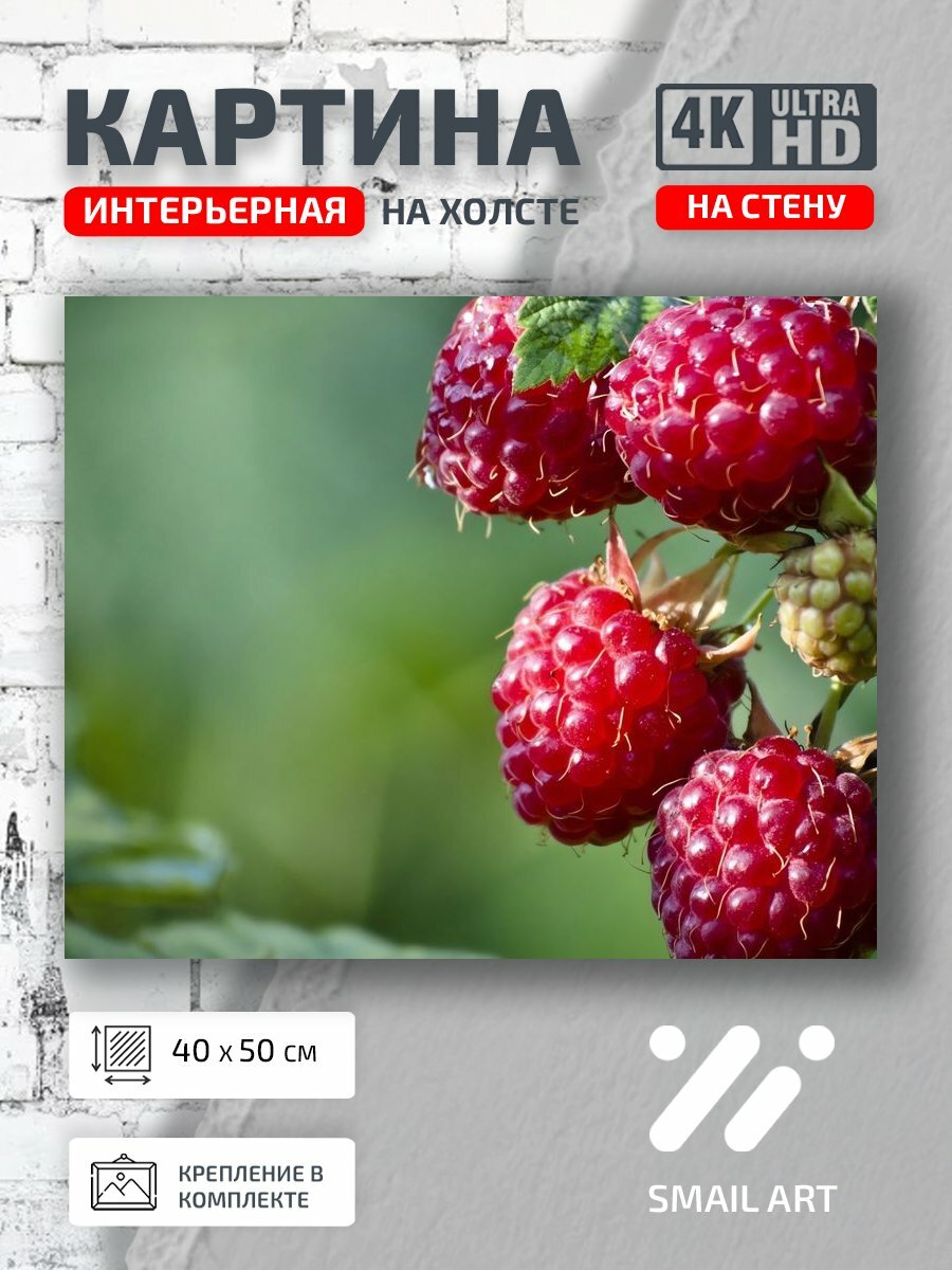 Картина на холсте интерьерная 40 на 50 на стену Куст Food для студии кулинария интерьер