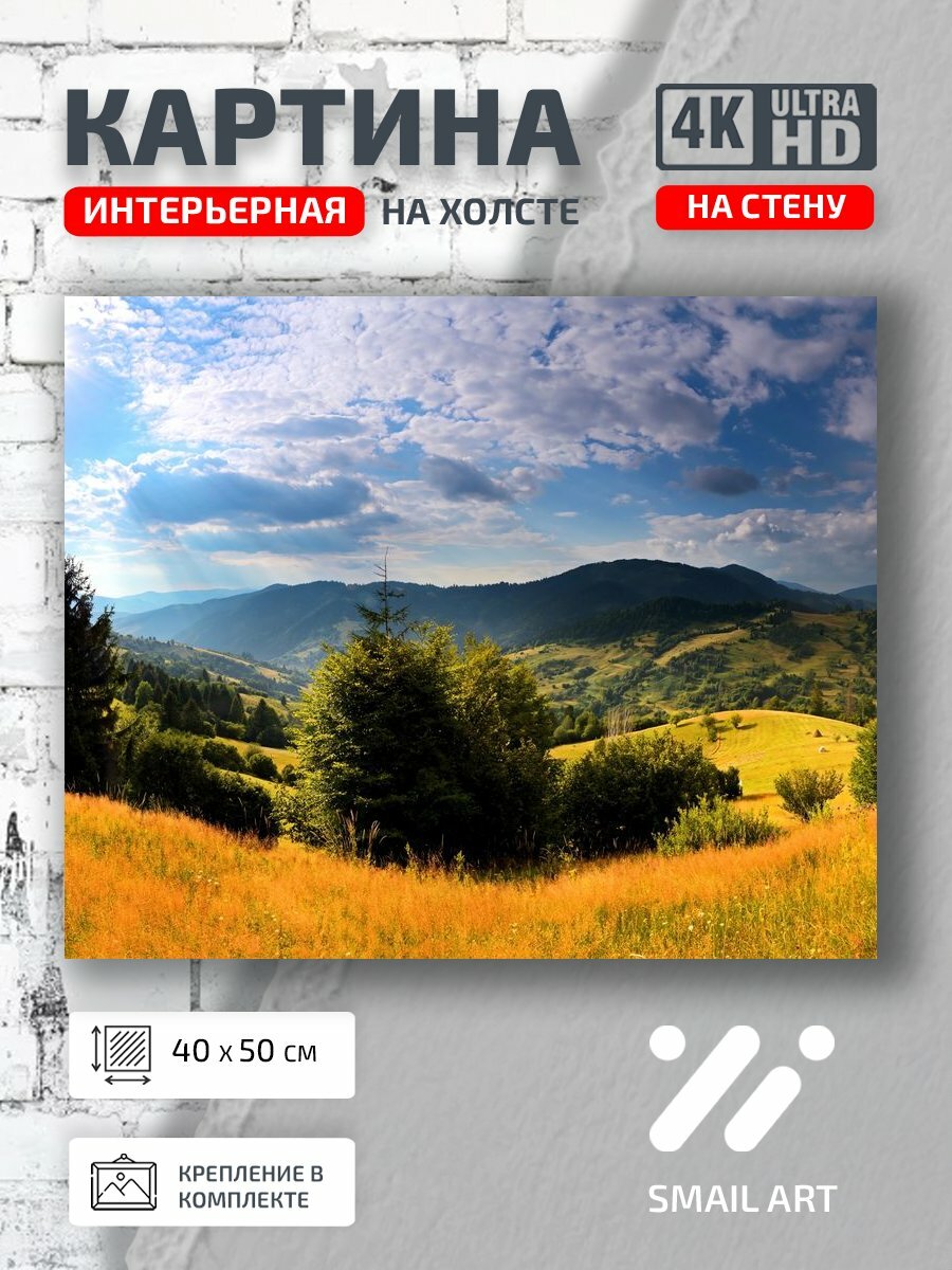 Картина на холсте интерьерная 40 на 50 на стену Степь Landscape для кафе пейзаж интерьер