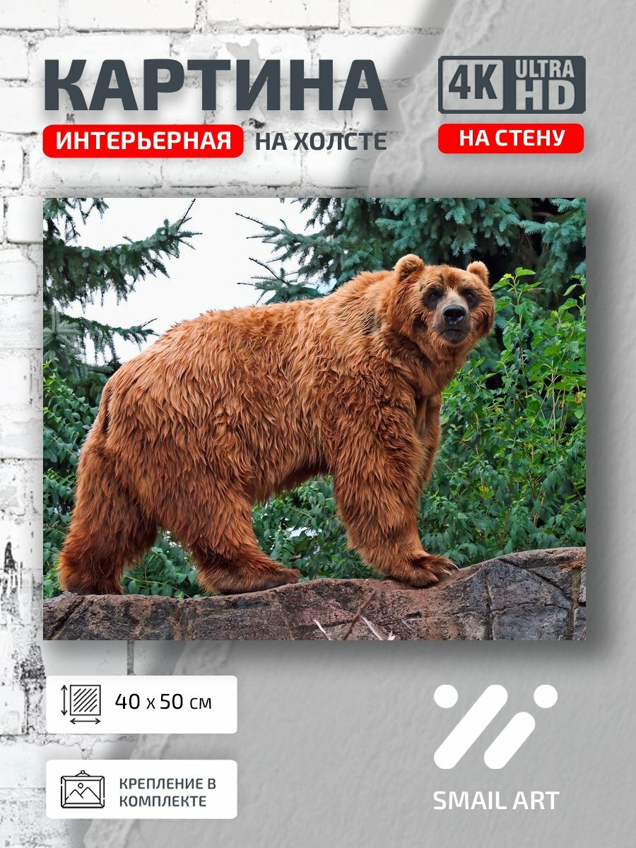 Картина на холсте интерьерная 40 на 50 на стену Медведь Animal для детской animal style