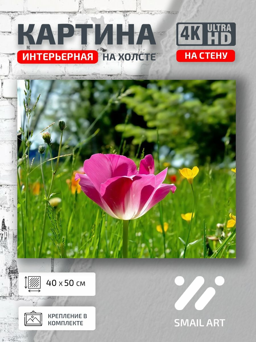 Картина на холсте интерьерная 40 на 50 на стену Цветок Landscape для кафе пейзаж интерьер