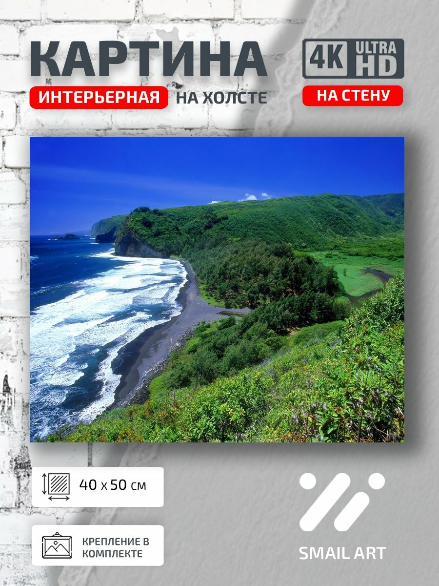 Картина на холсте интерьерная 40 на 50 на стену Гаваи Hawaii для кабинета атмосфера декор