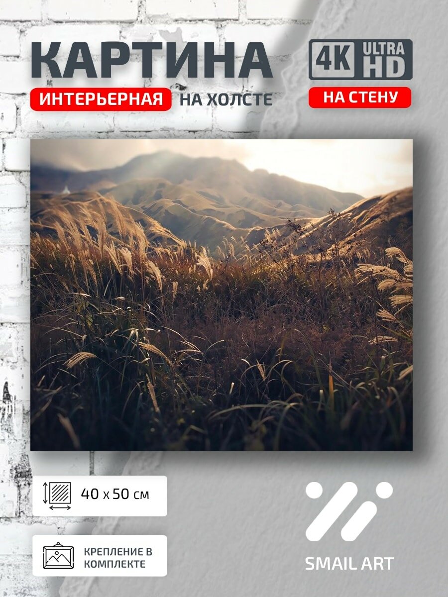 Картина на холсте интерьерная 40 на 50 на стену Природа Dreams для гостиной пейзаж