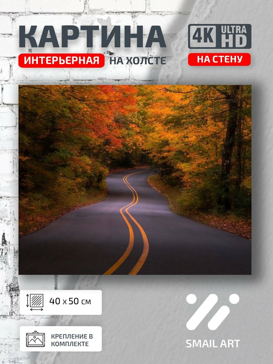 Картина на холсте интерьерная 40 на 50 на стену дорога Michigan для офиса пейзаж