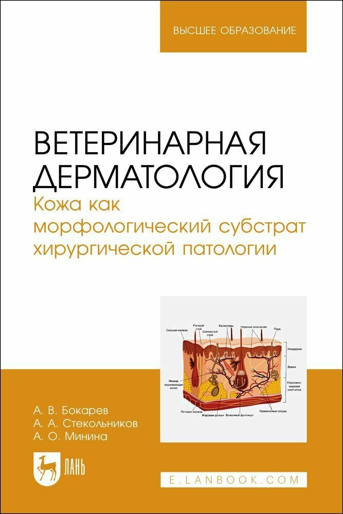 Ветеринарная дерматология. Кожа как морфологический субстрат хирургической патологии. Учебное пособи