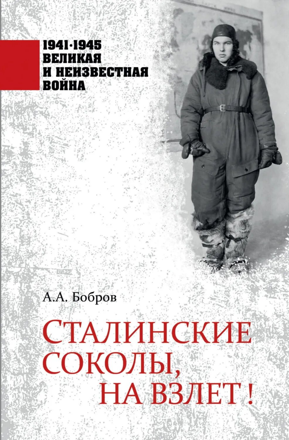 Сталинские соколы, на взлет! [Цифровая книга]