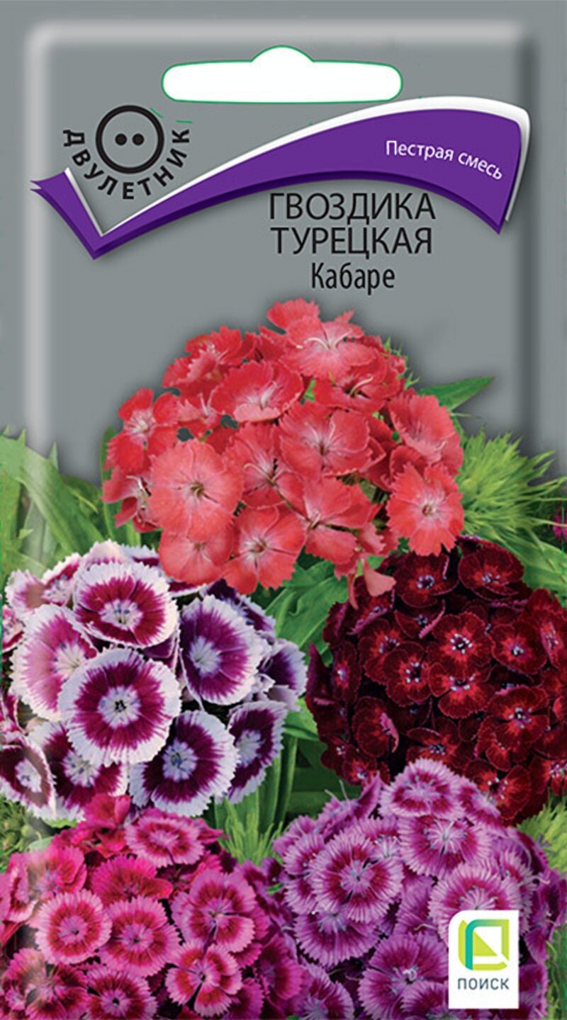 Семена цветов Поиск гвоздика турецкая Кабаре, для дачи, сада, огорода и на рассаду