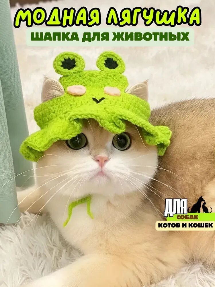Шапка для кошек и собак в форме лягушки, с отверстиями для ушей, одежда для животных