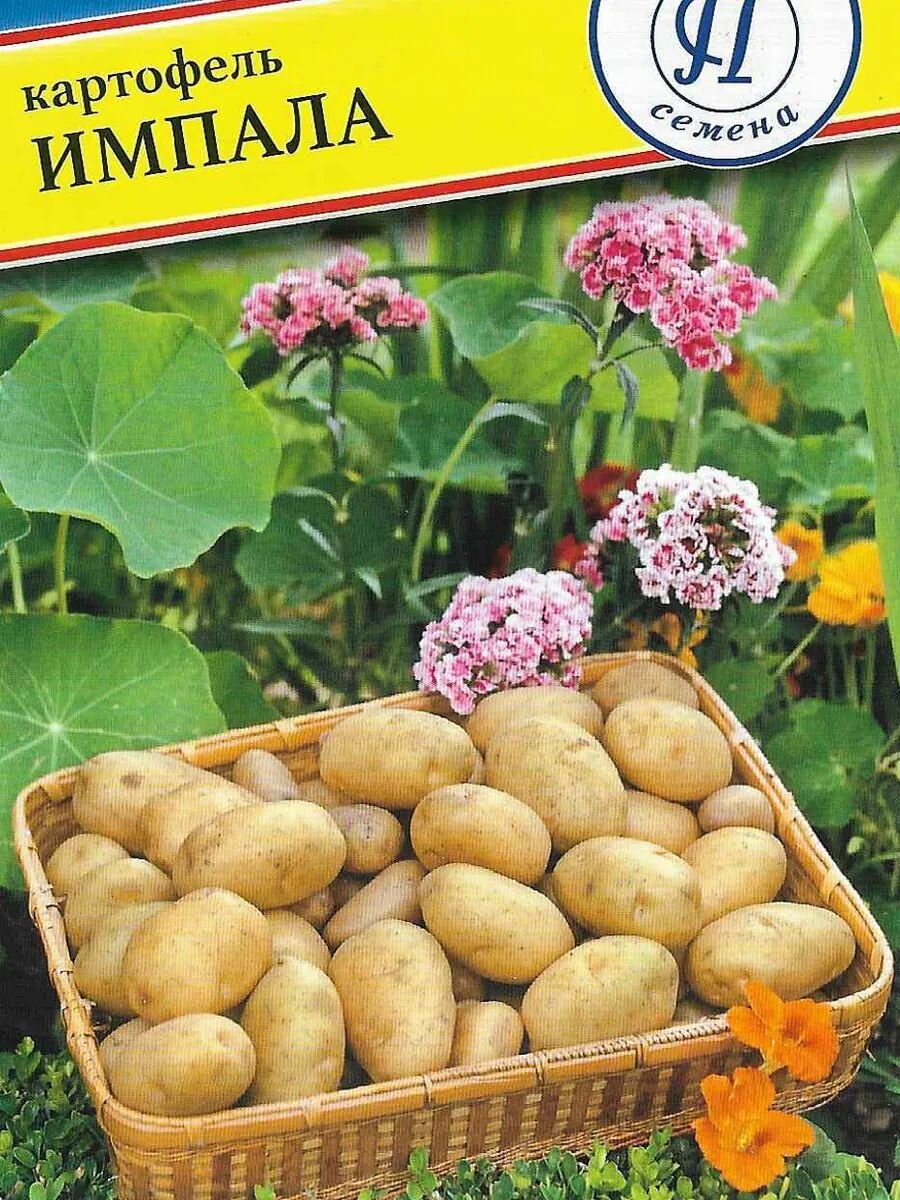 Картофель Импала 0,05 гр, Престиж