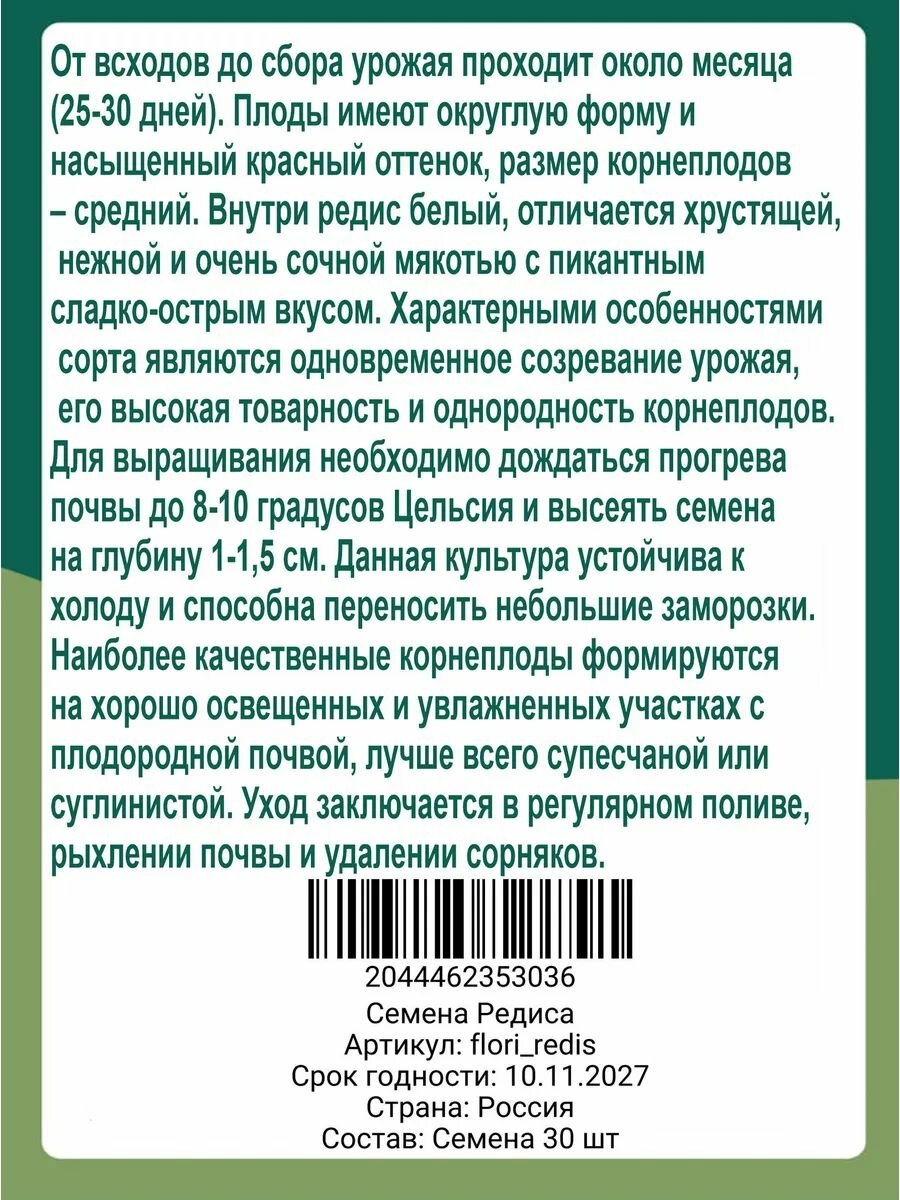 Семена Редиса — фото 1
