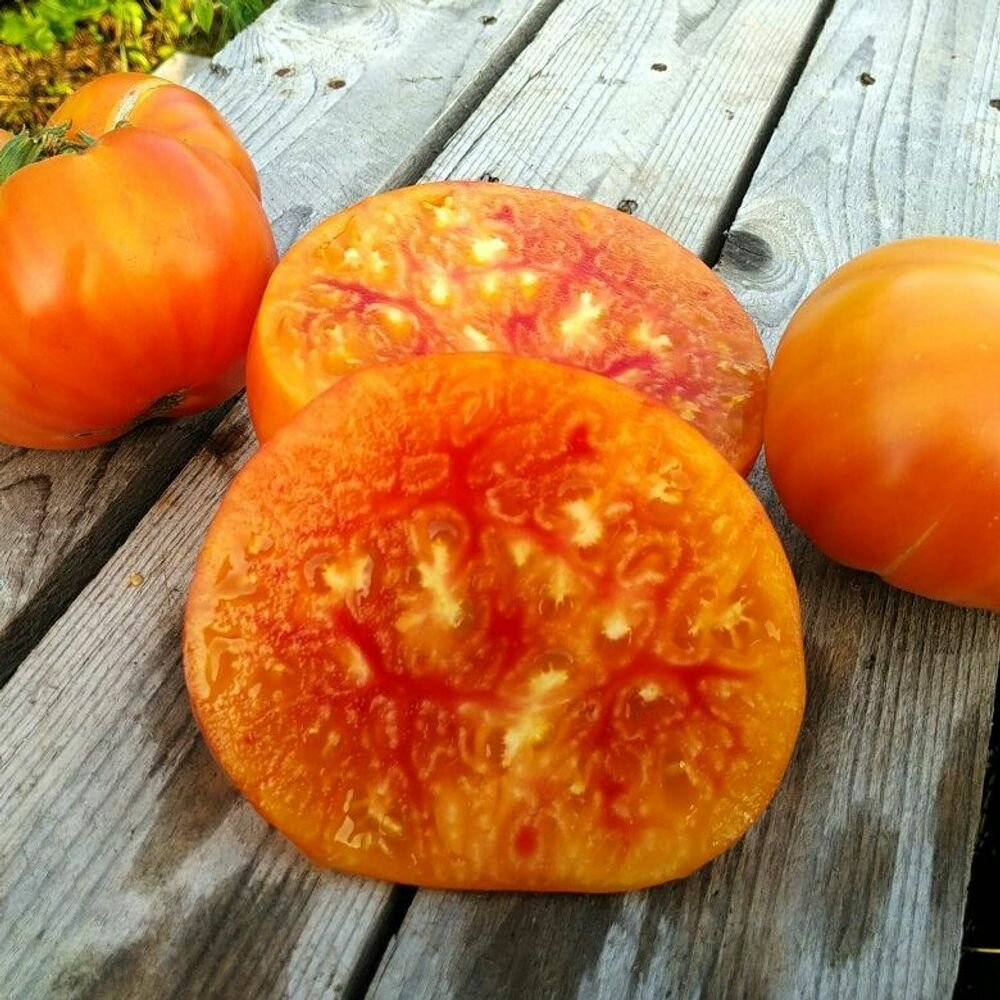 Коллекционные семена томата Гавайский ананас