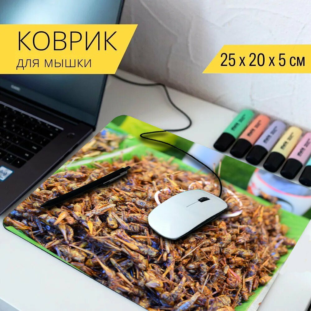 Коврик для мыши с принтом "Сверчков, жареные сверчки, уличная забегаловка" 25x20см.