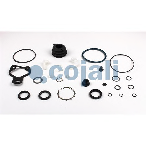 COJALI 6034026 р / к пгу сцепления 629683am \omn scania 4-ser.