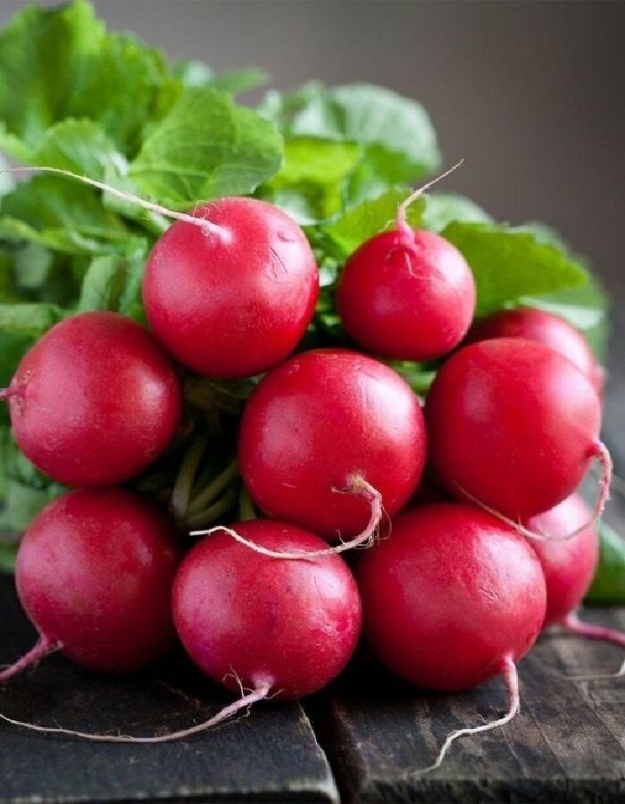 Редис Вена, сорт с белоснежной сочной, мякотью для всесезонного выращивания, слабо чувствителен к длине светового дня, 50 семян