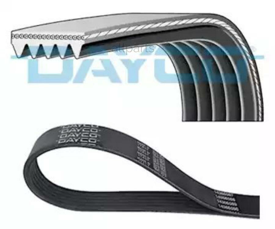 DAYCO 5PK800 Ремень ручейковый Dayco
