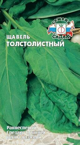 Щавель Толстолистный (Седек)