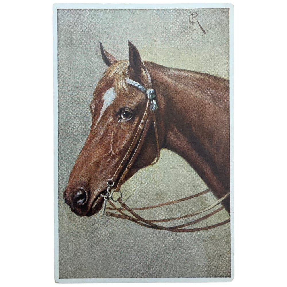 Почтовая открытка "Голова запряженной лошади" 1900-1917 гг. Германия