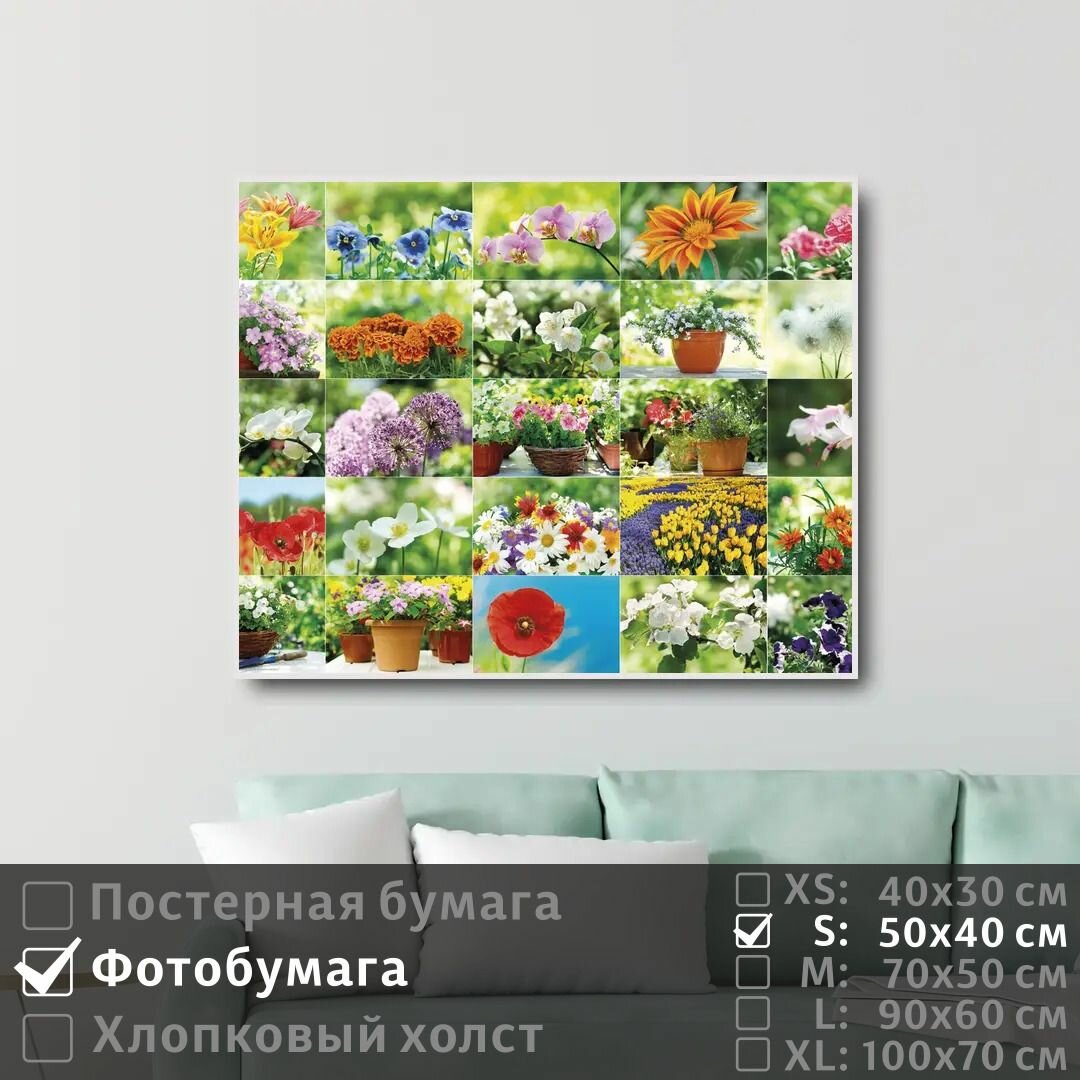 Постер на фотобумаге Коллаж Из Красивых Цветов 50х40 см ПолиЦентр