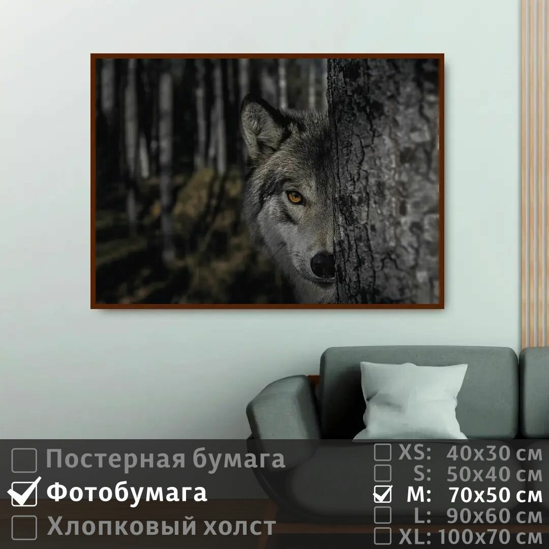 Постер на фотобумаге Взгляд Волка За Деревом В Темном Лесу 70х50 см ПолиЦентр