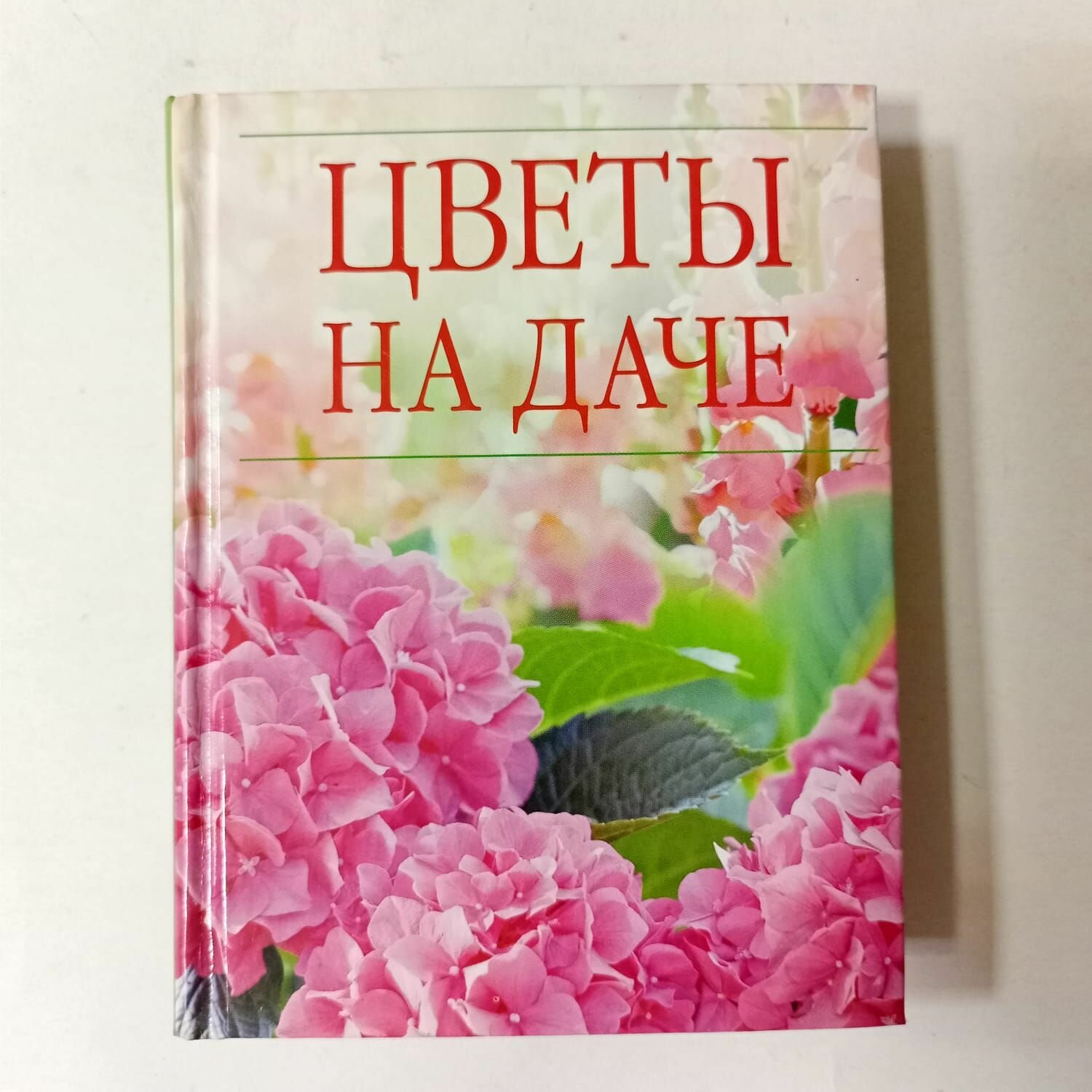 Цветы на даче