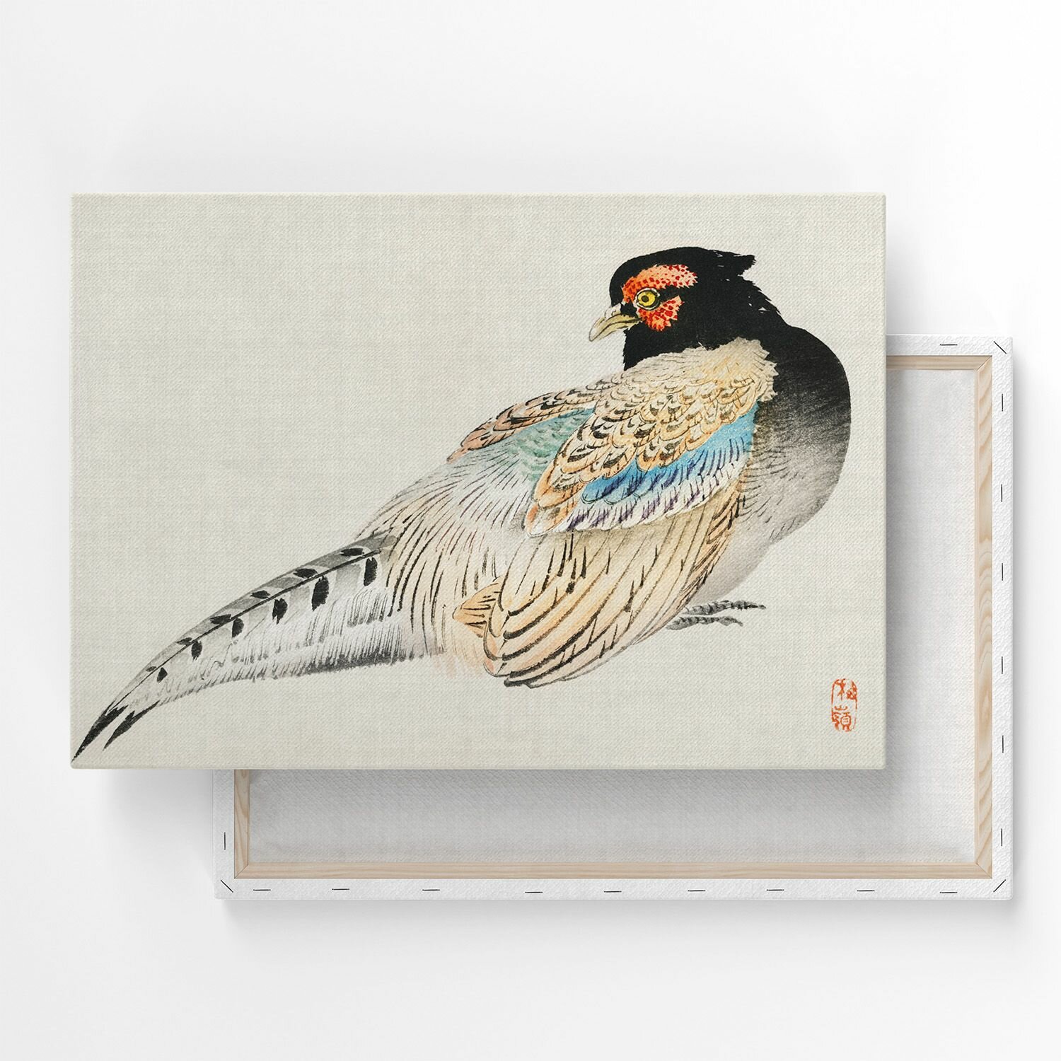 Картина на холсте, репродукция / Байрэй, Коно - Peregrine falcon / Размер 30 x 40 см