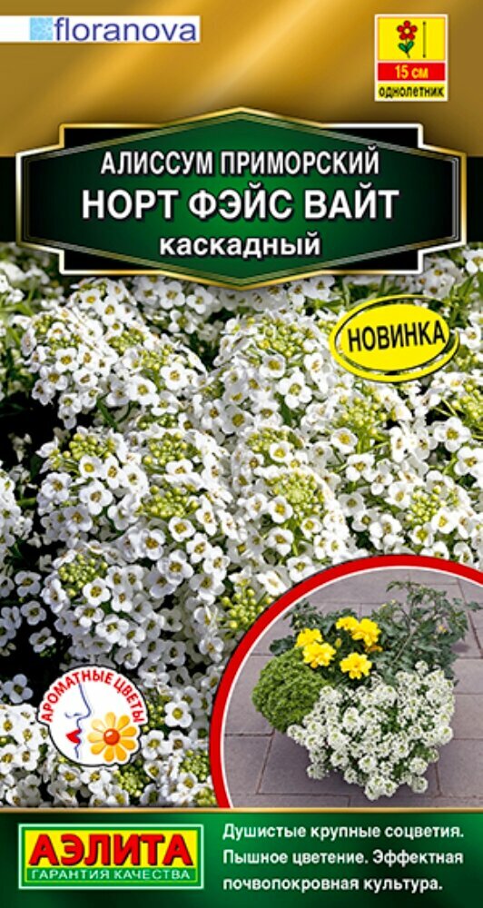 Цена за 10 пачек! Семена Алиссум амп. Норт фэйс вайт каскадный 12шт Одн 15см (Аэлита)