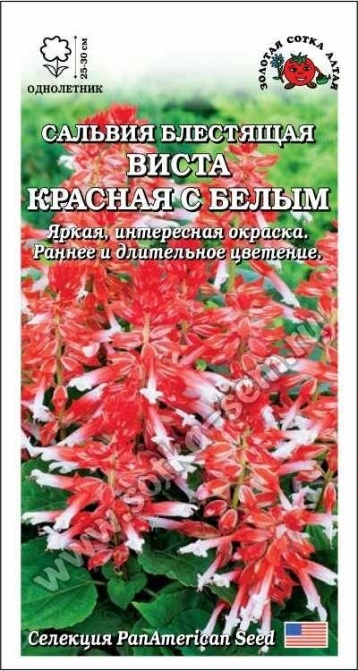 Семена Сальвия Виста Красная с белым 10шт. (Золотая сотка Алтая)
