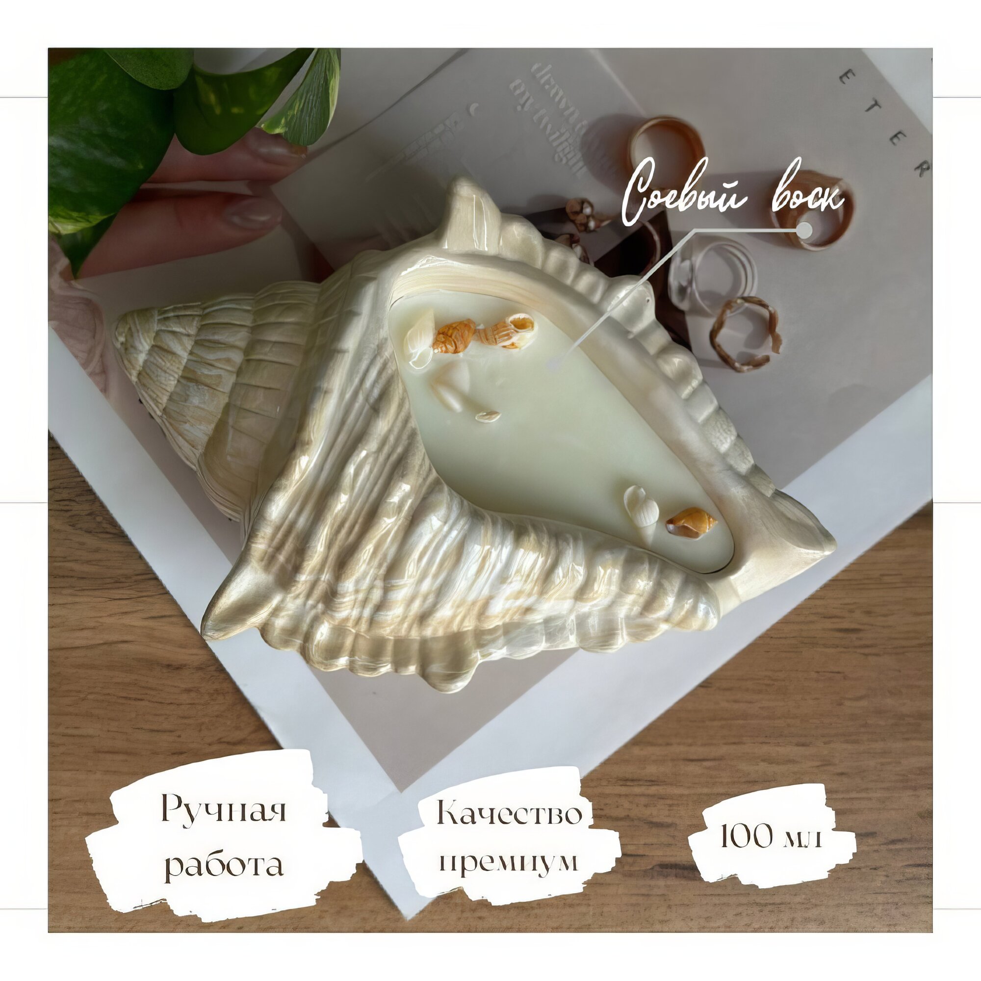 Свеча «Ракушка» из соевого воска в подсвечнике из гипса ручной работы, 17х11х5.5 см