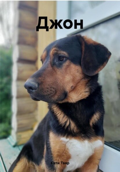 Джон [Цифровая книга]