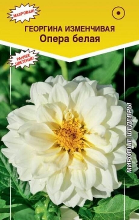 Семена растения георгина изменчивая опера белая